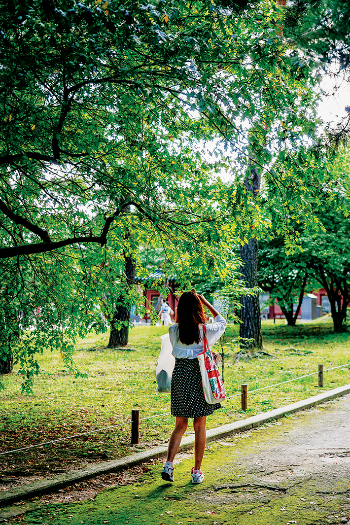 중급기의 심장을 이식한 최상위 보급기 SONY α5100