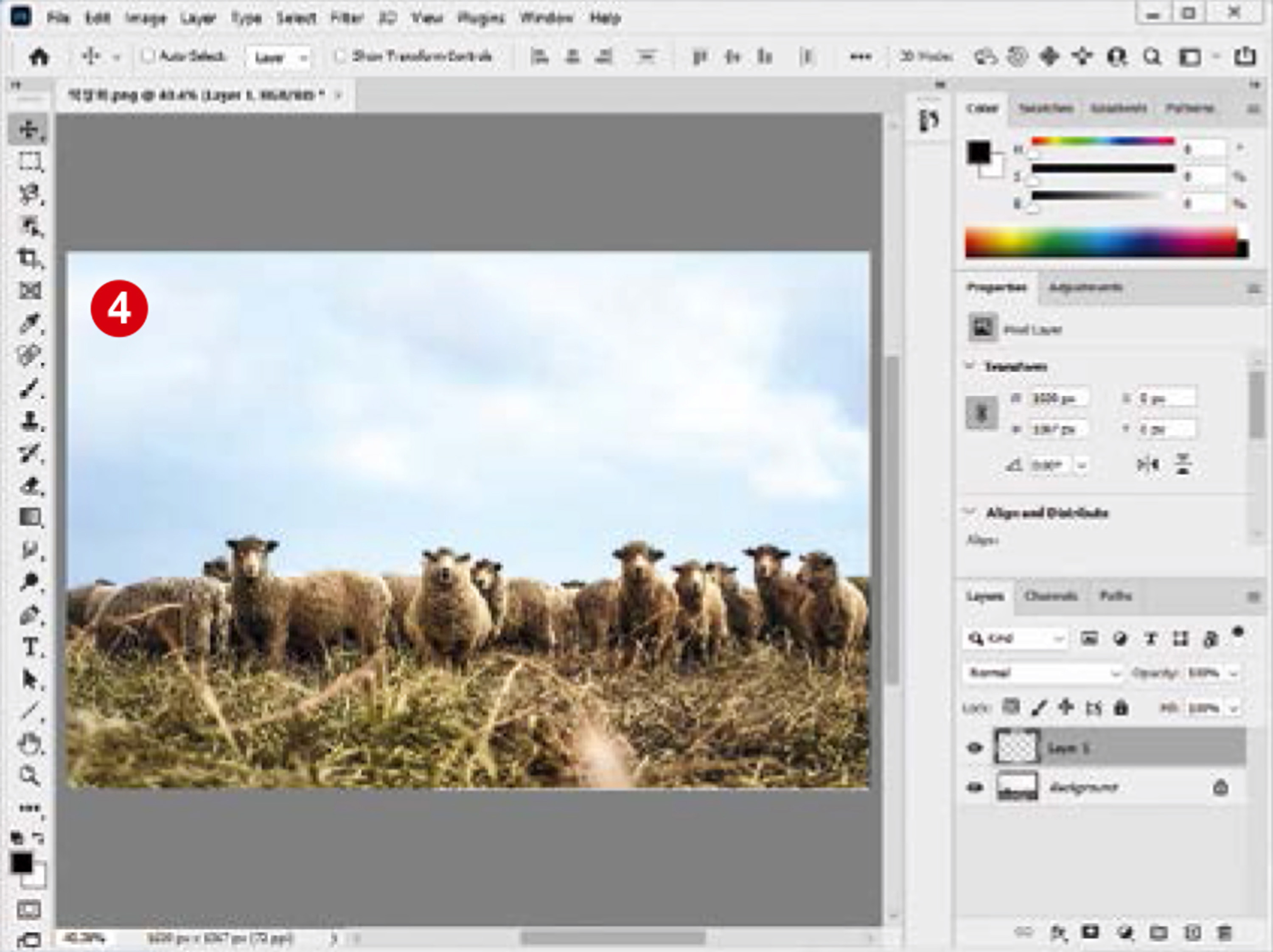 필터가 만드는 환상의 세계 [Filter] 메뉴와 Neural 필터 사용법